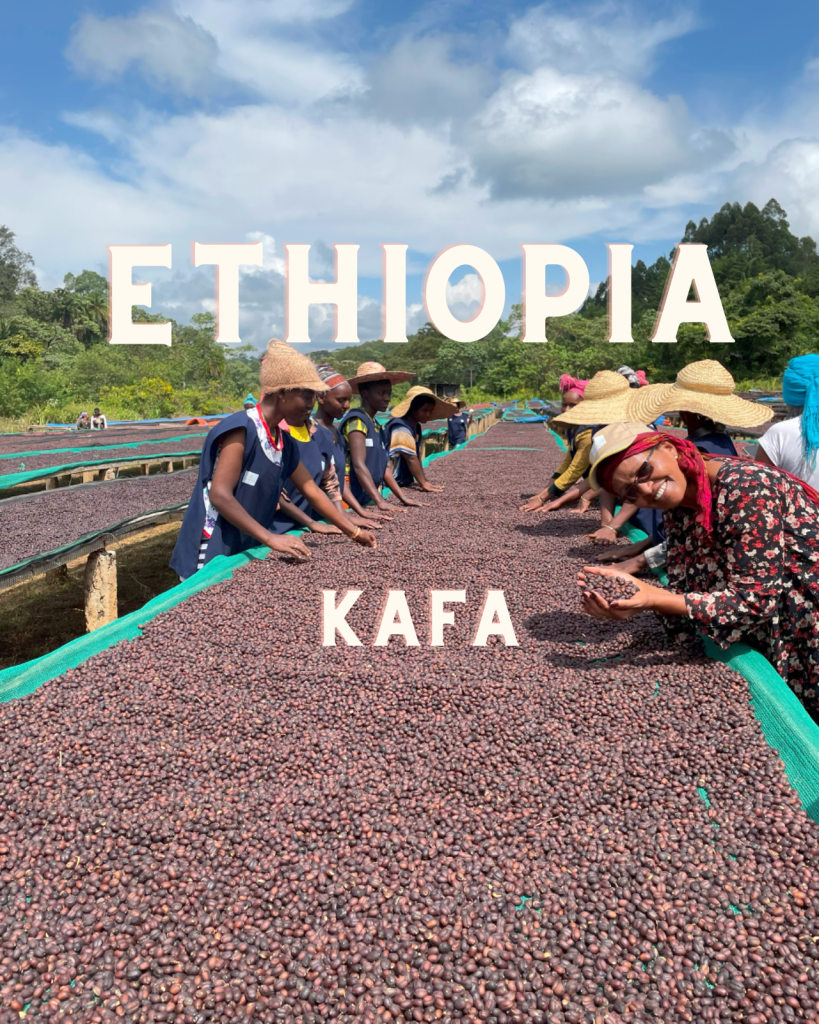ETHIOPIA Kafa - Coffee Core